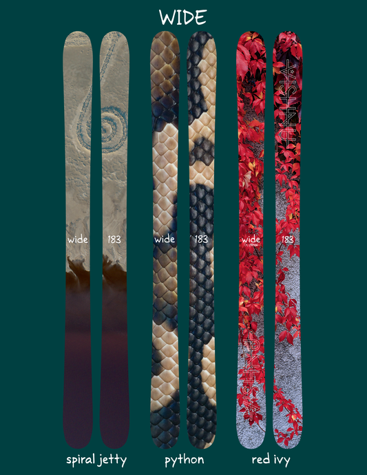 Skis – Vishnu Freeski